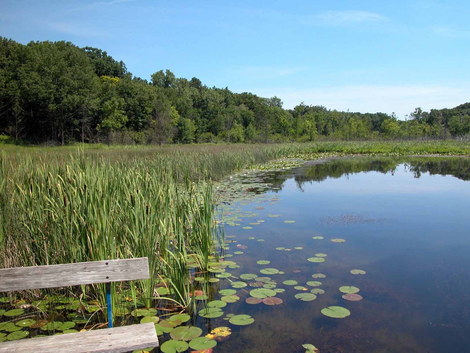 Memberships | Indiana Parks Alliance